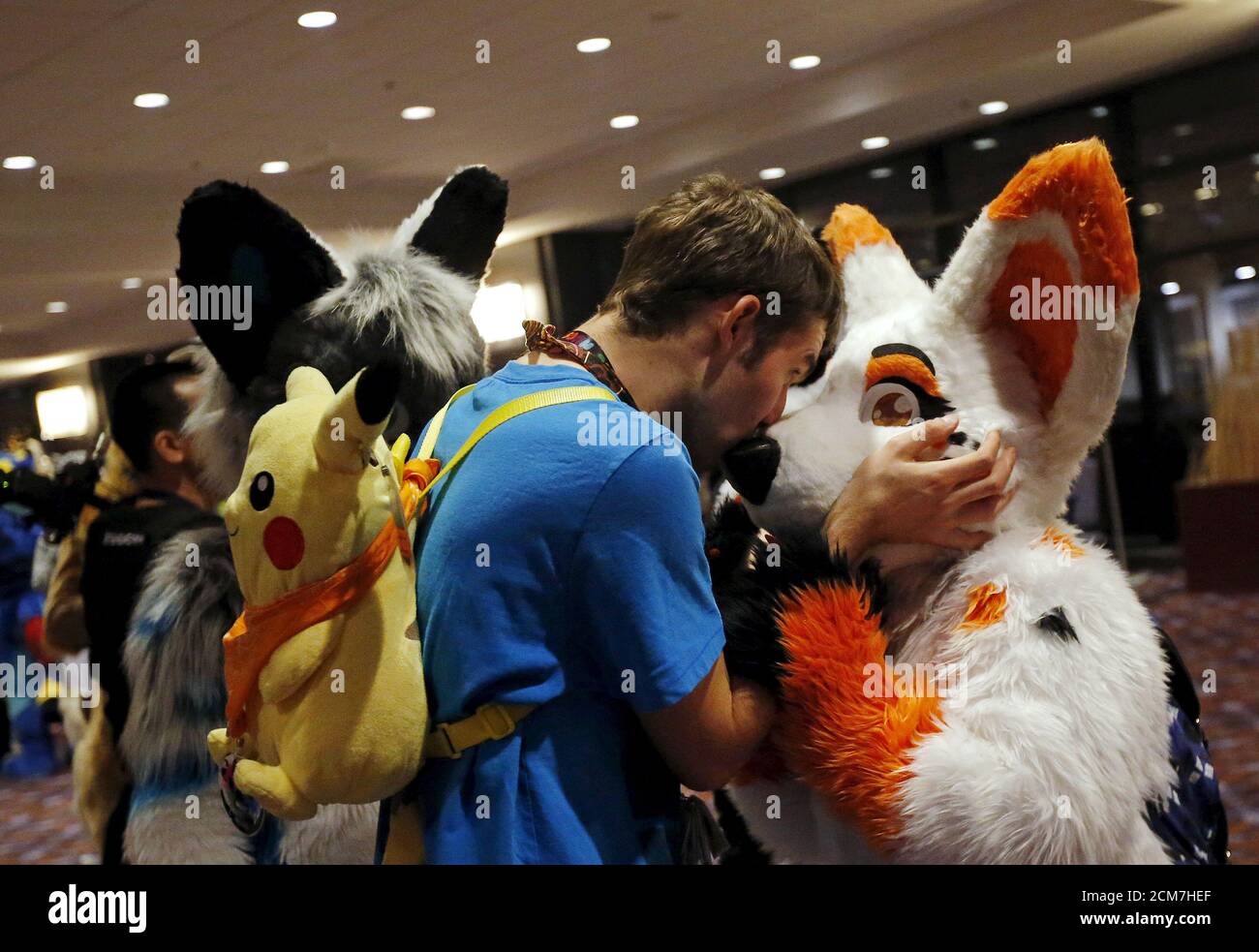 Furfest hi-res stock photography and images - Alamy