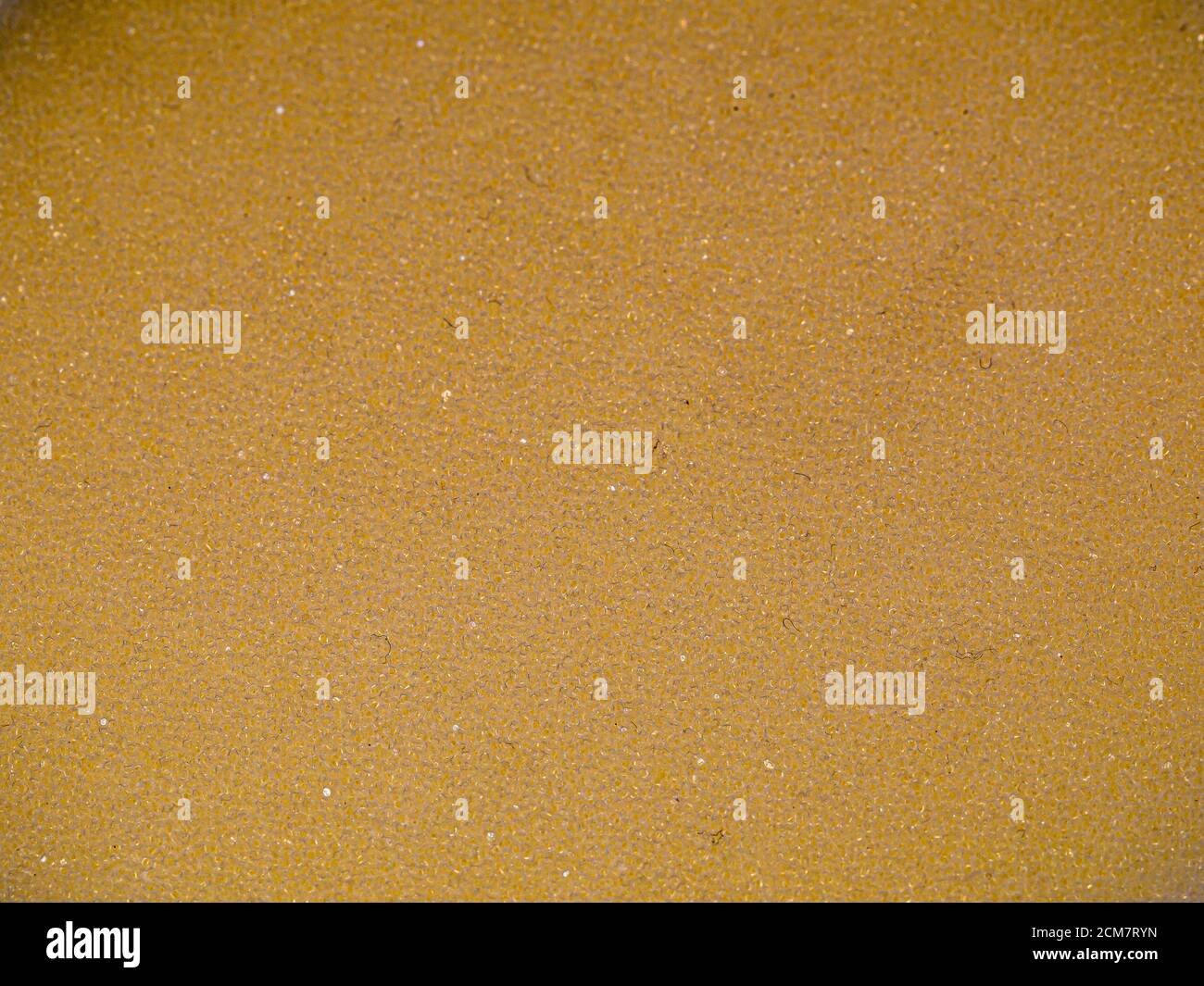 Beige plastic hi-res stock photography and images - Alamy