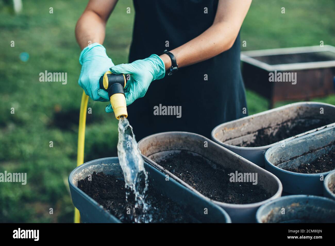 Caucasian woman watering pots with seeds at home in the garden after ...