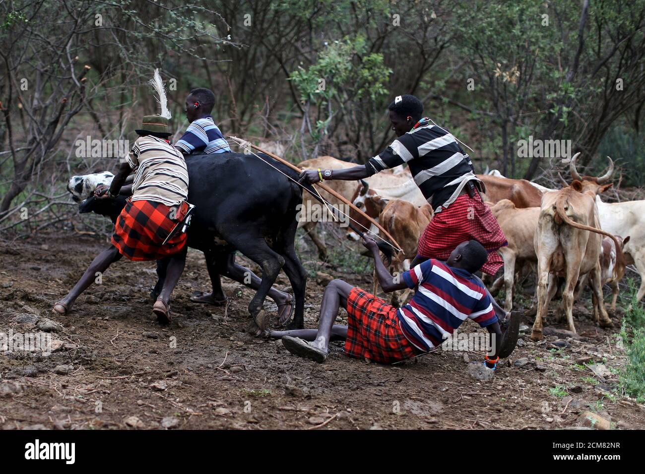 Initiation ceremony adulthood hi-res stock photography and images - Alamy