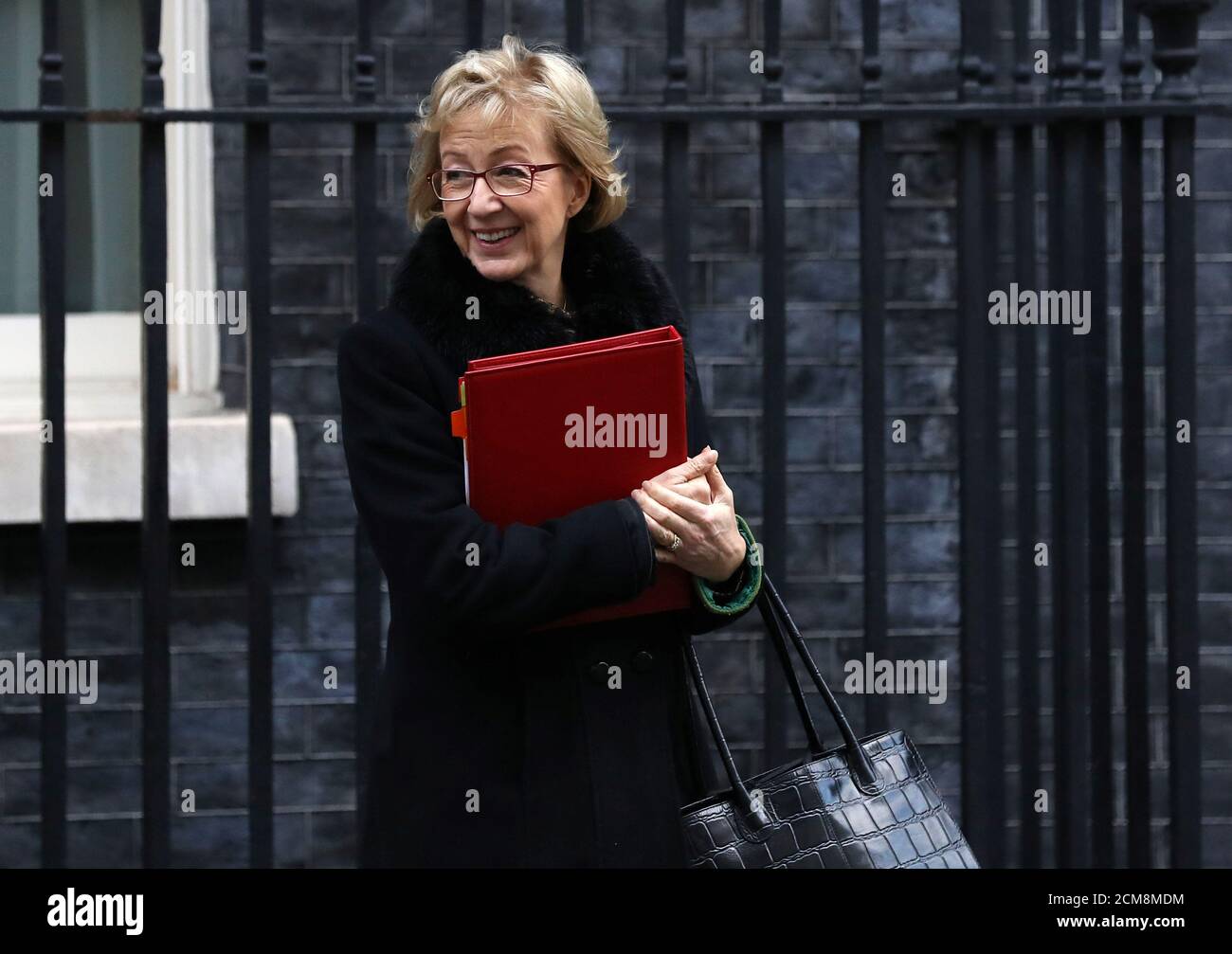 Andrea leadsom downing street hi-res stock photography and images - Alamy