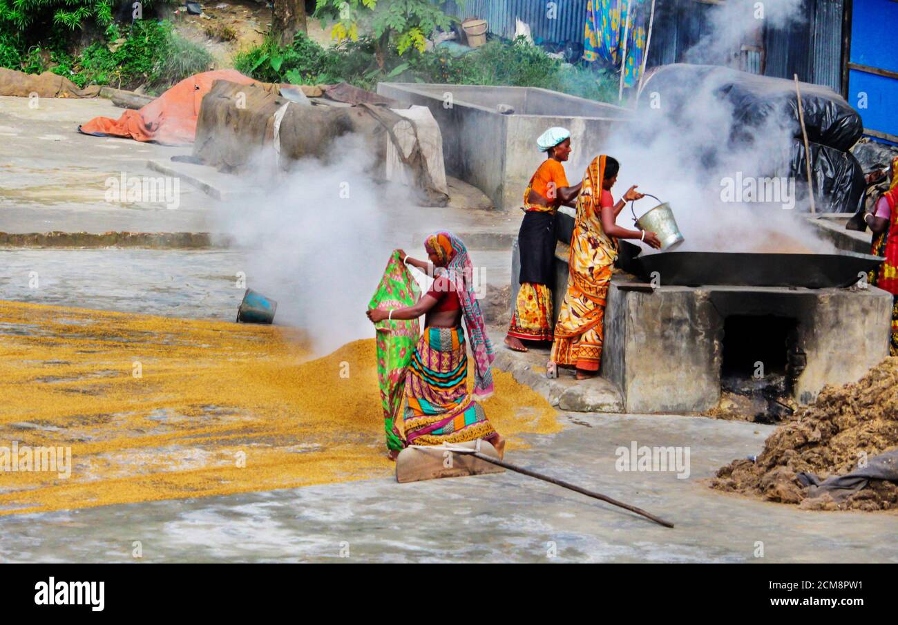 Rice processing hi-res stock photography and images - Alamy
