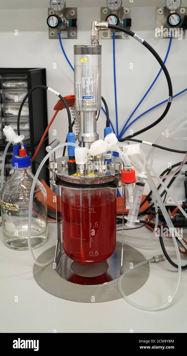 Bioreactor for food hi-res stock photography and images - Alamy