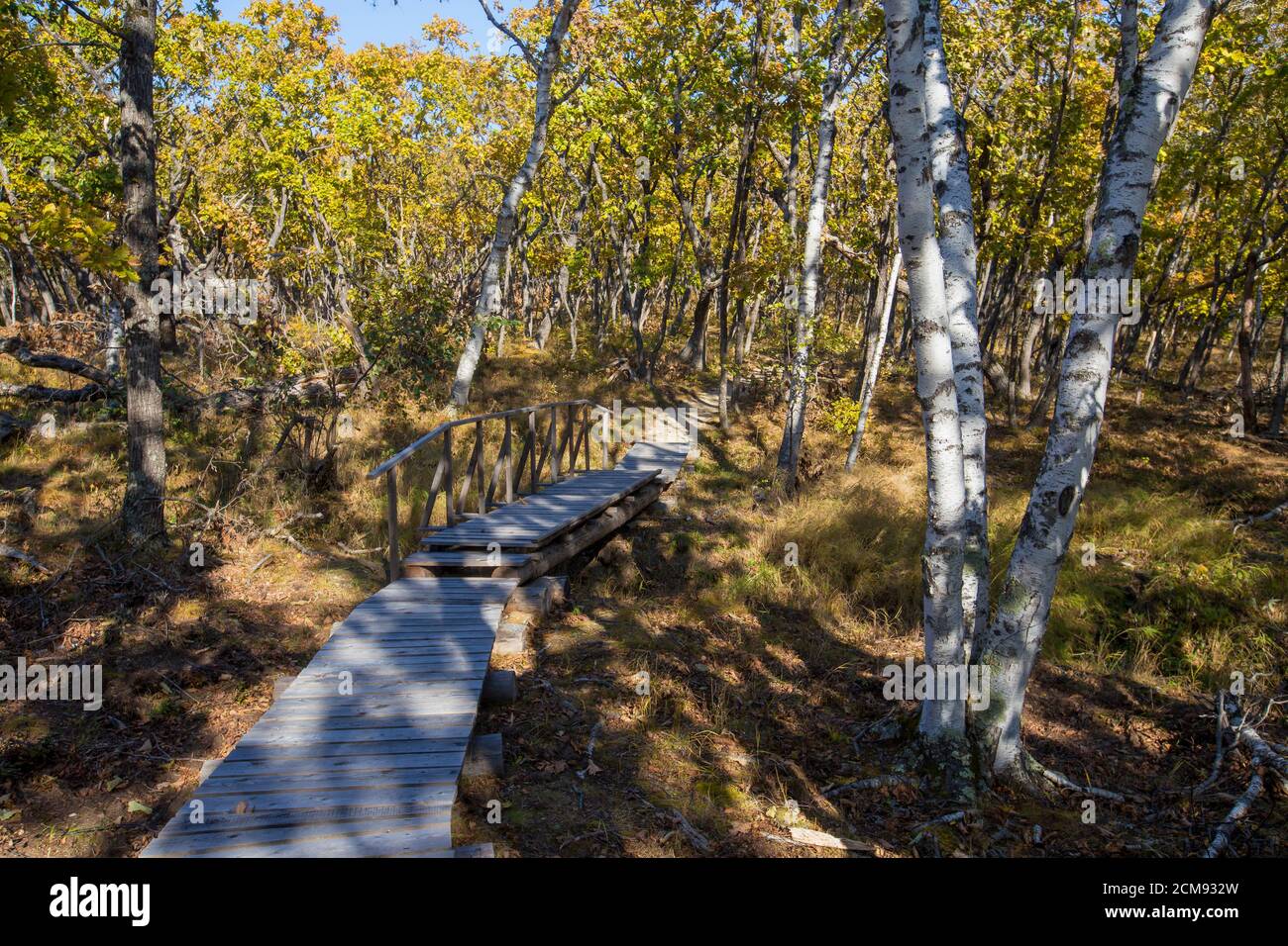 Sikhote-Alin Biosphere Reserve in Primorsky Krai Stock Photo - Alamy