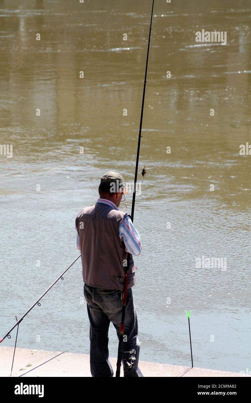 Hinge Fish High Resolution Stock Photography and Images - Alamy