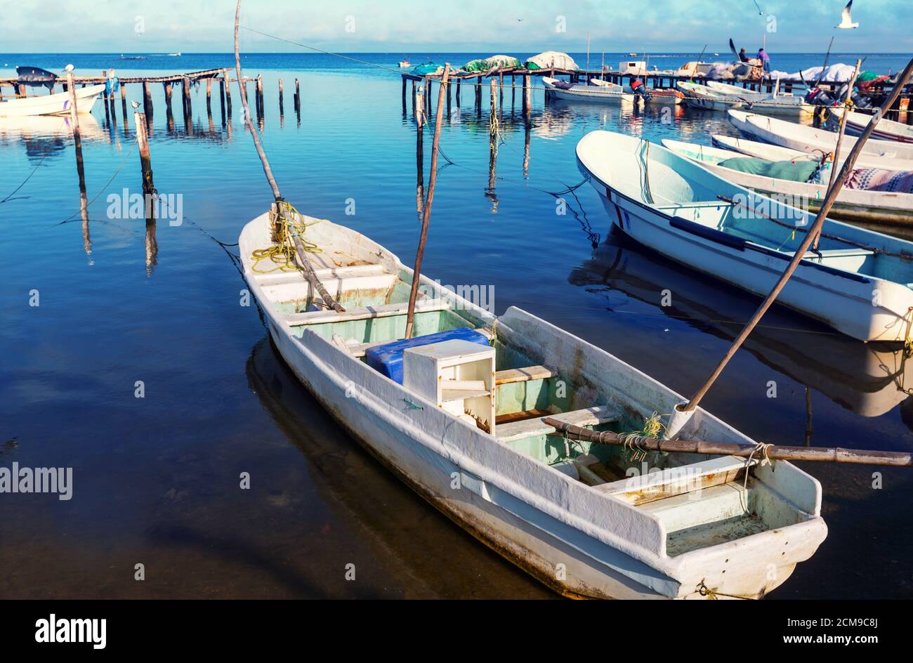 The fishing boats in Mexico Stock Photo - Alamy