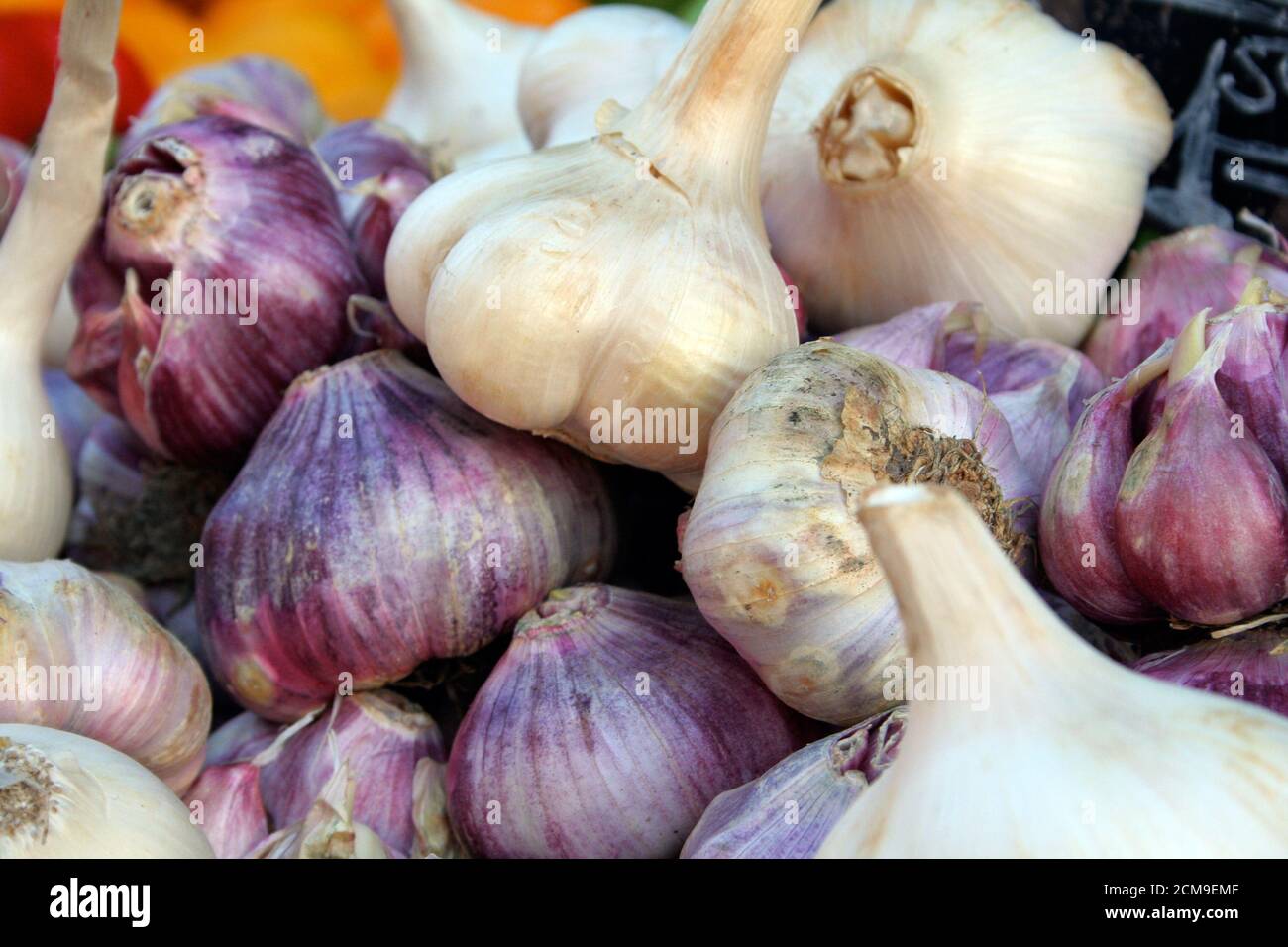Garlic toes hi-res stock photography and images - Alamy