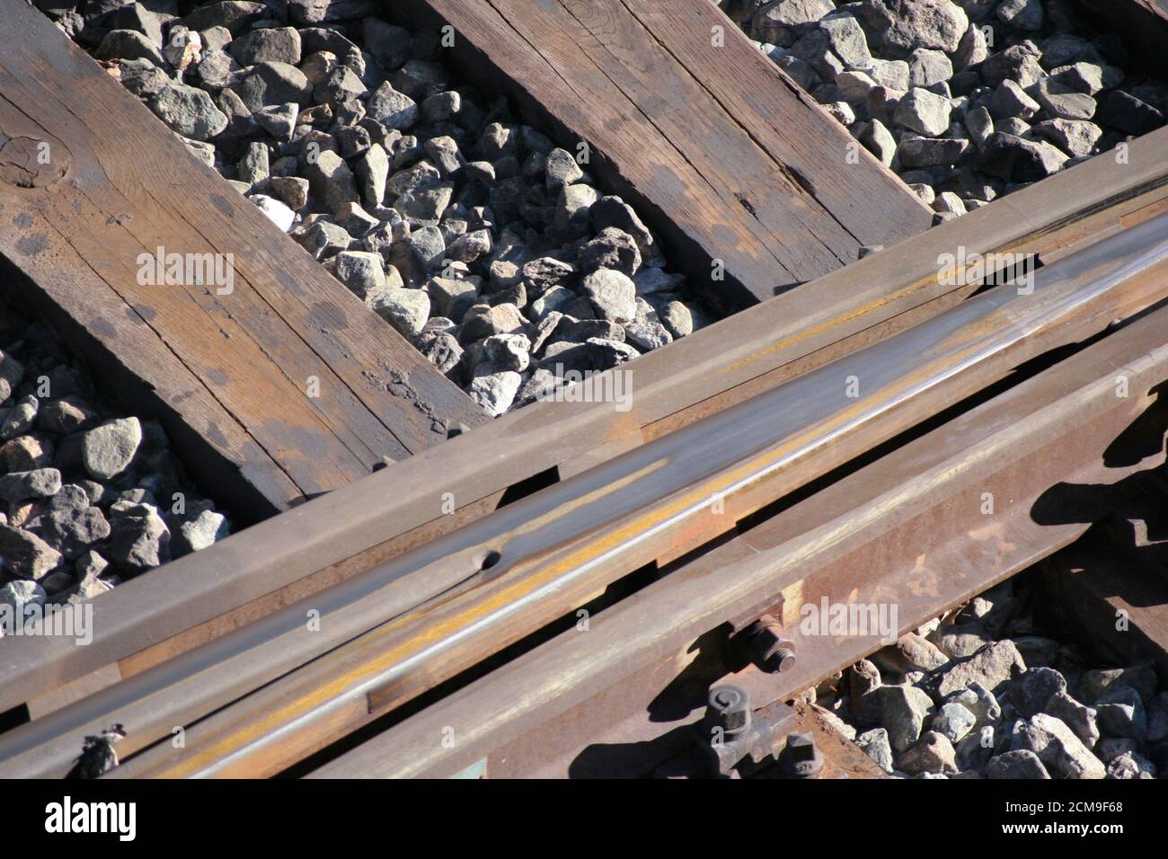 Sitch hi-res stock photography and images - Alamy