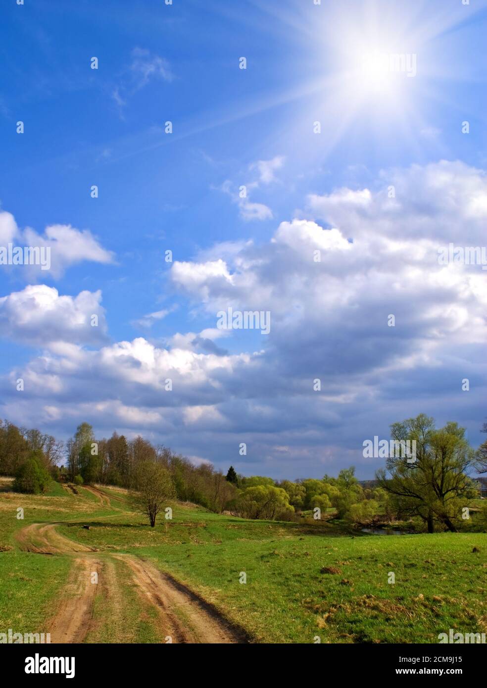 Summer landscape with rural way Stock Photo - Alamy