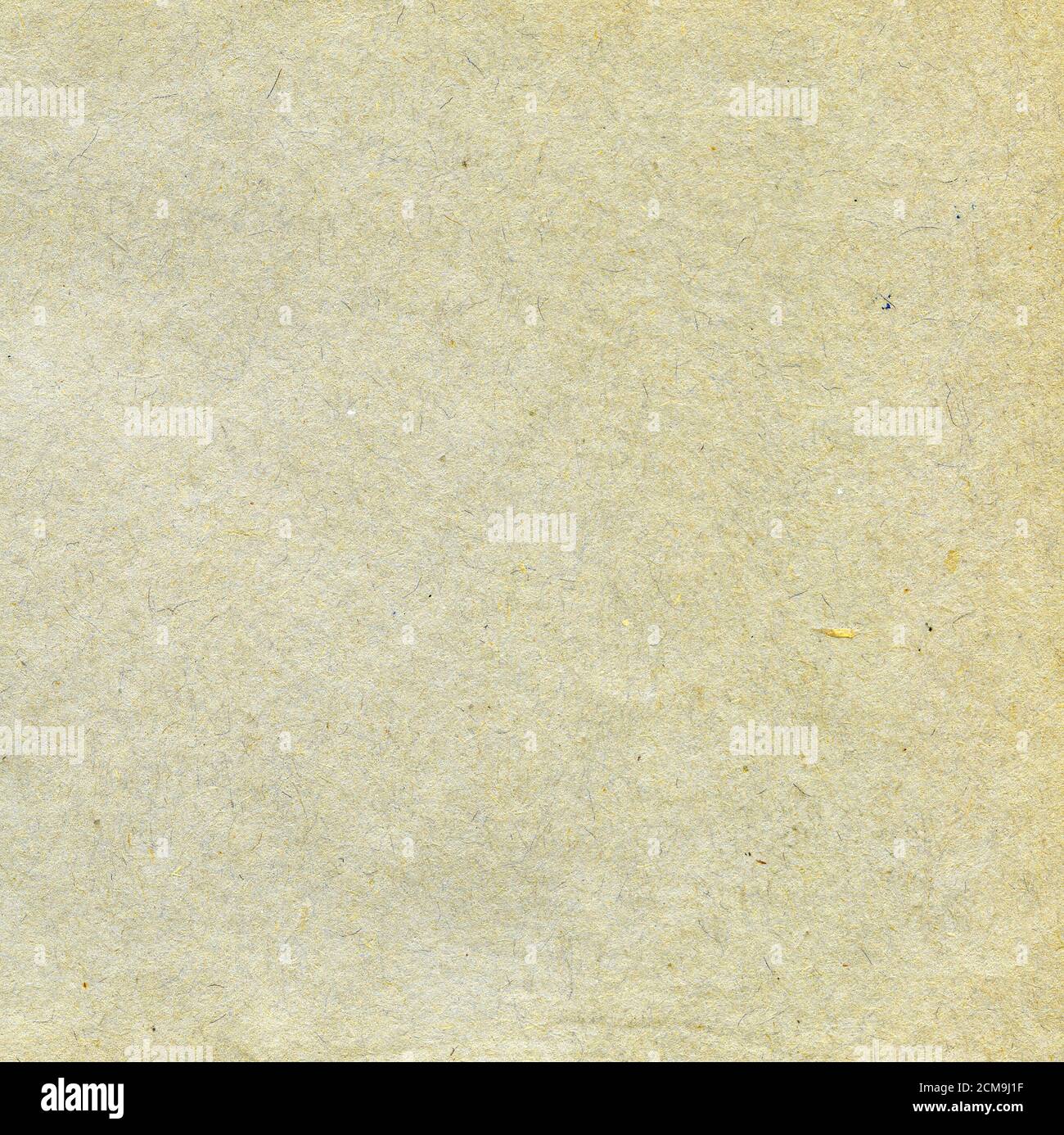 Textured recycled paper with natural fiber parts Stock Photo - Alamy