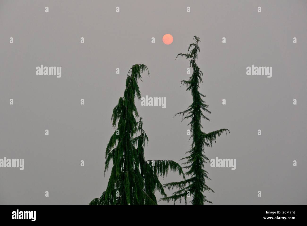 Canada fires hi-res stock photography and images - Alamy