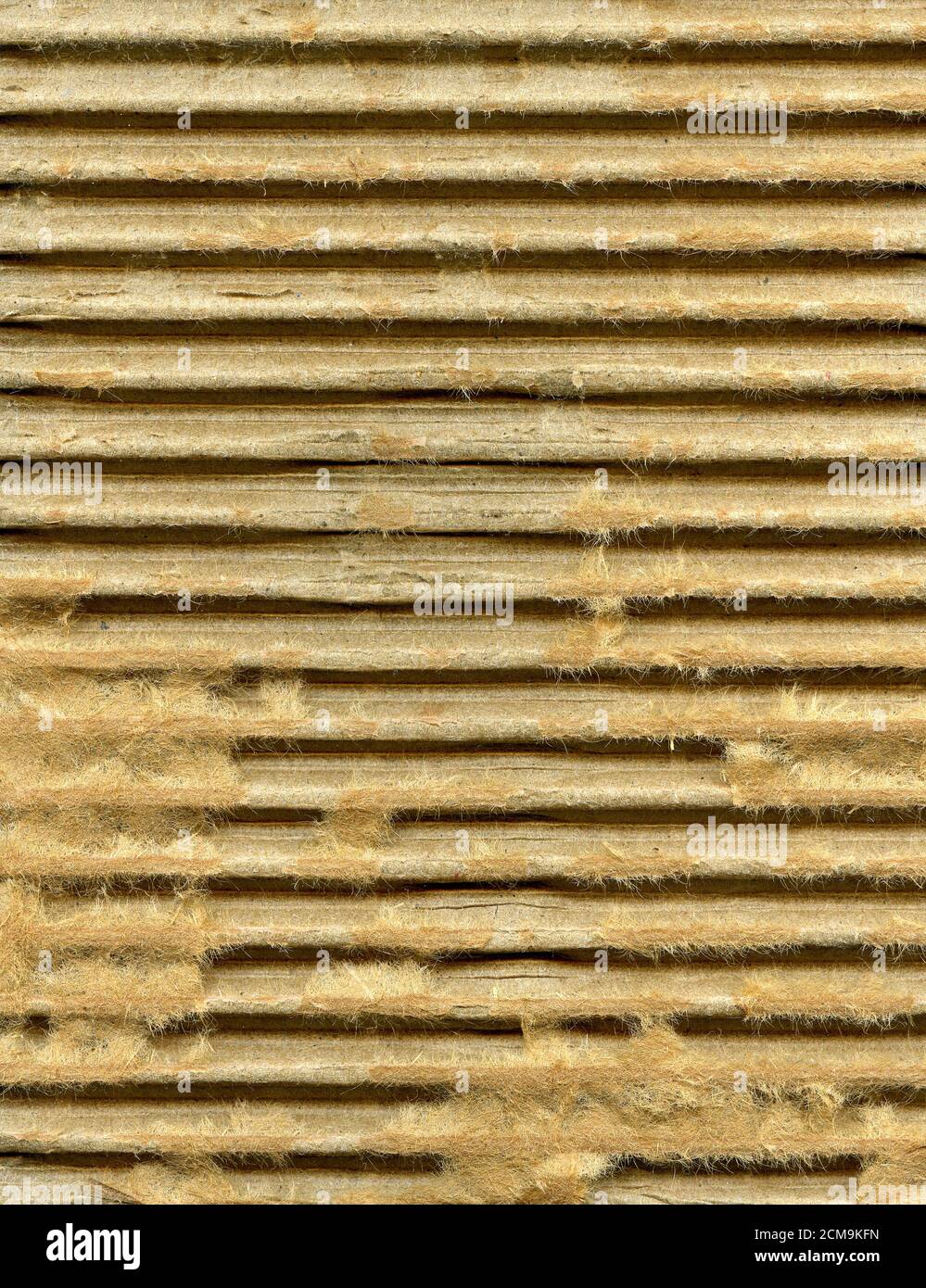Textured corrugated striped cardboard with natural fiber parts Stock ...