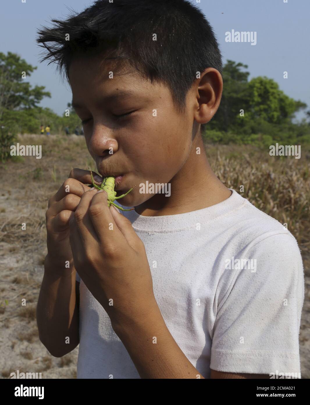 Kamayura tribe in the xingu hi-res stock photography and images - Alamy