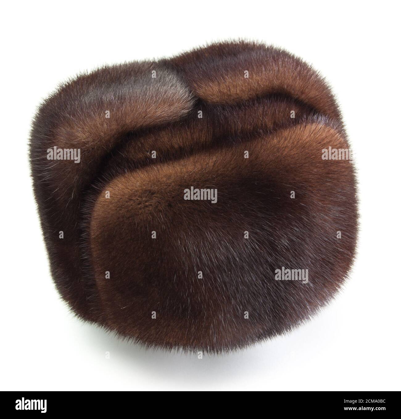 Cool furry Cut Out Stock Images & Pictures - Alamy