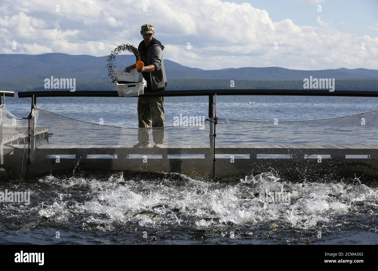 Siberian trout hi-res stock photography and images - Alamy