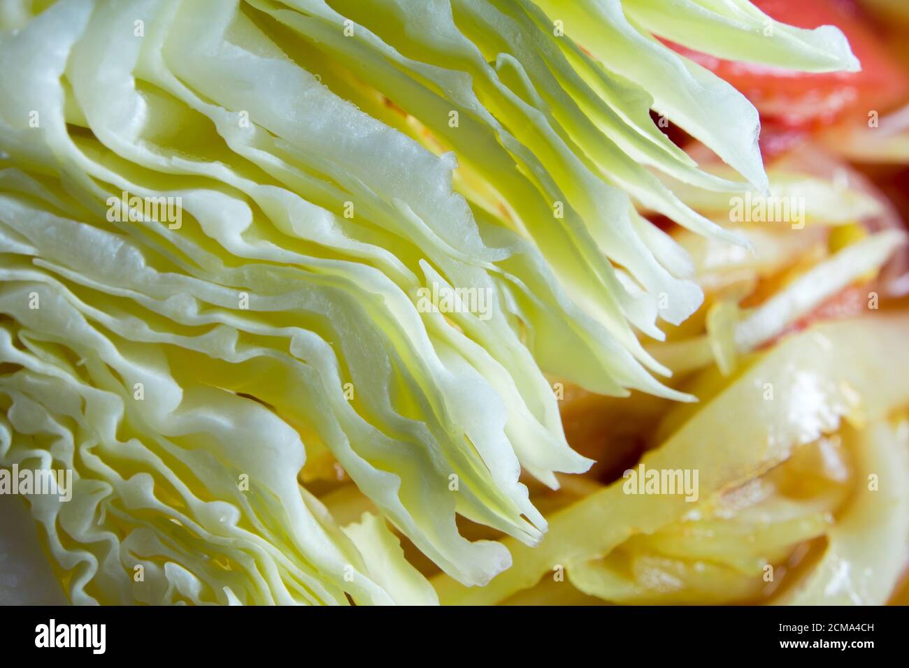 Close up to texture of cut surface inside a Cabbage Stock Photo - Alamy