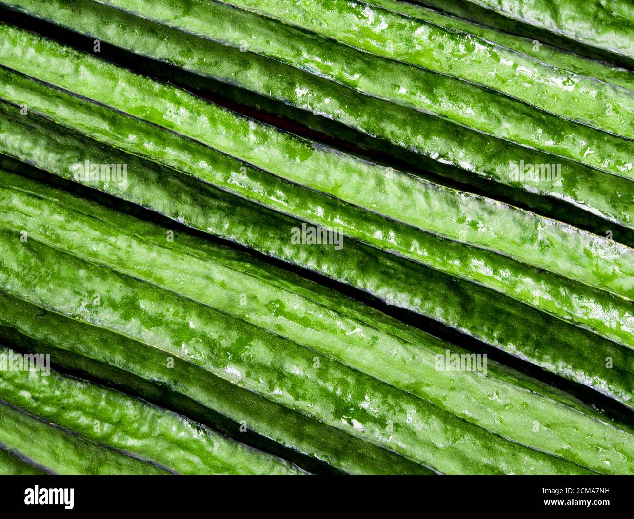 Texture of Angled loofah, Green vegetable Stock Photo - Alamy