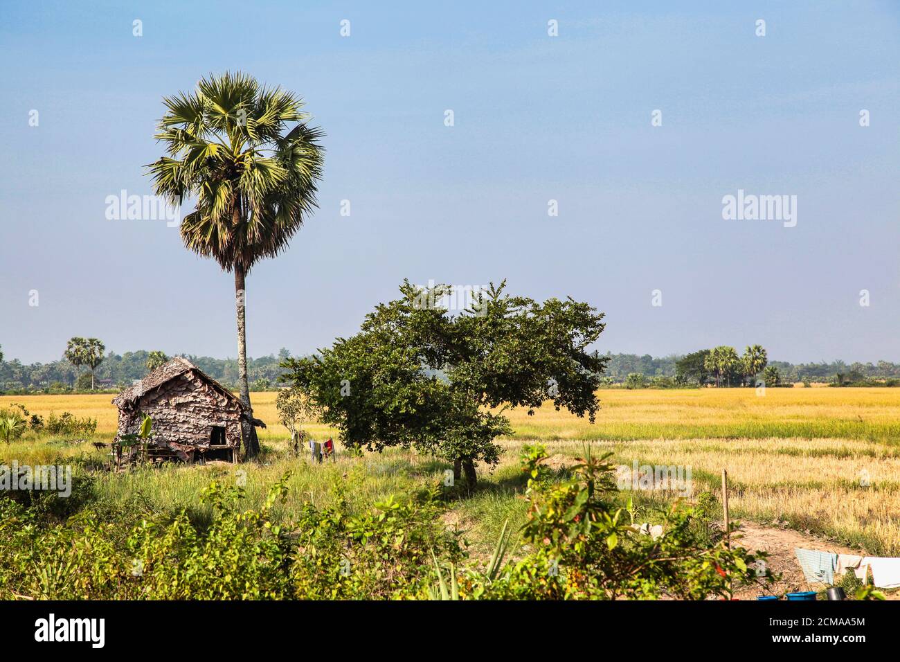 Landscape view of myanmar countryside at pindaya, former Burma, Asia ...