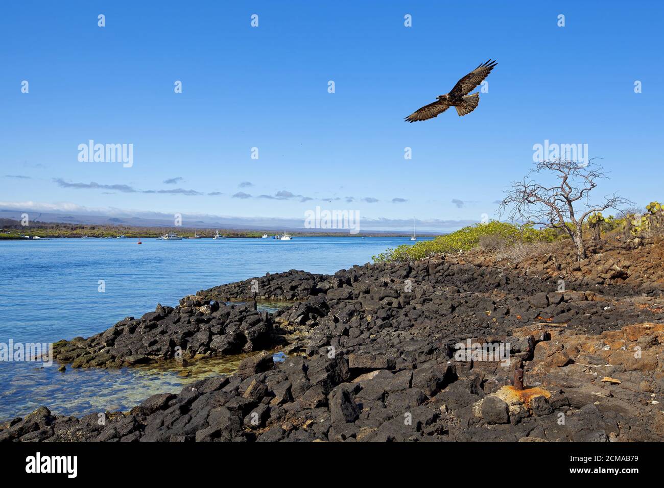 Galapagos landscape hi-res stock photography and images - Alamy