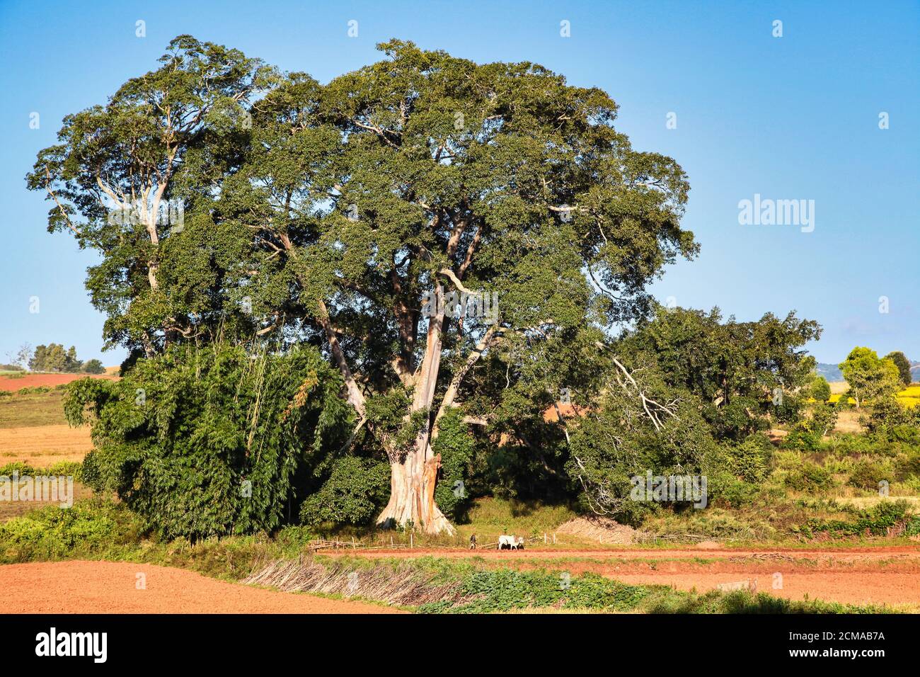 Landscape view of myanmar countryside at pindaya, former Burma, Asia ...