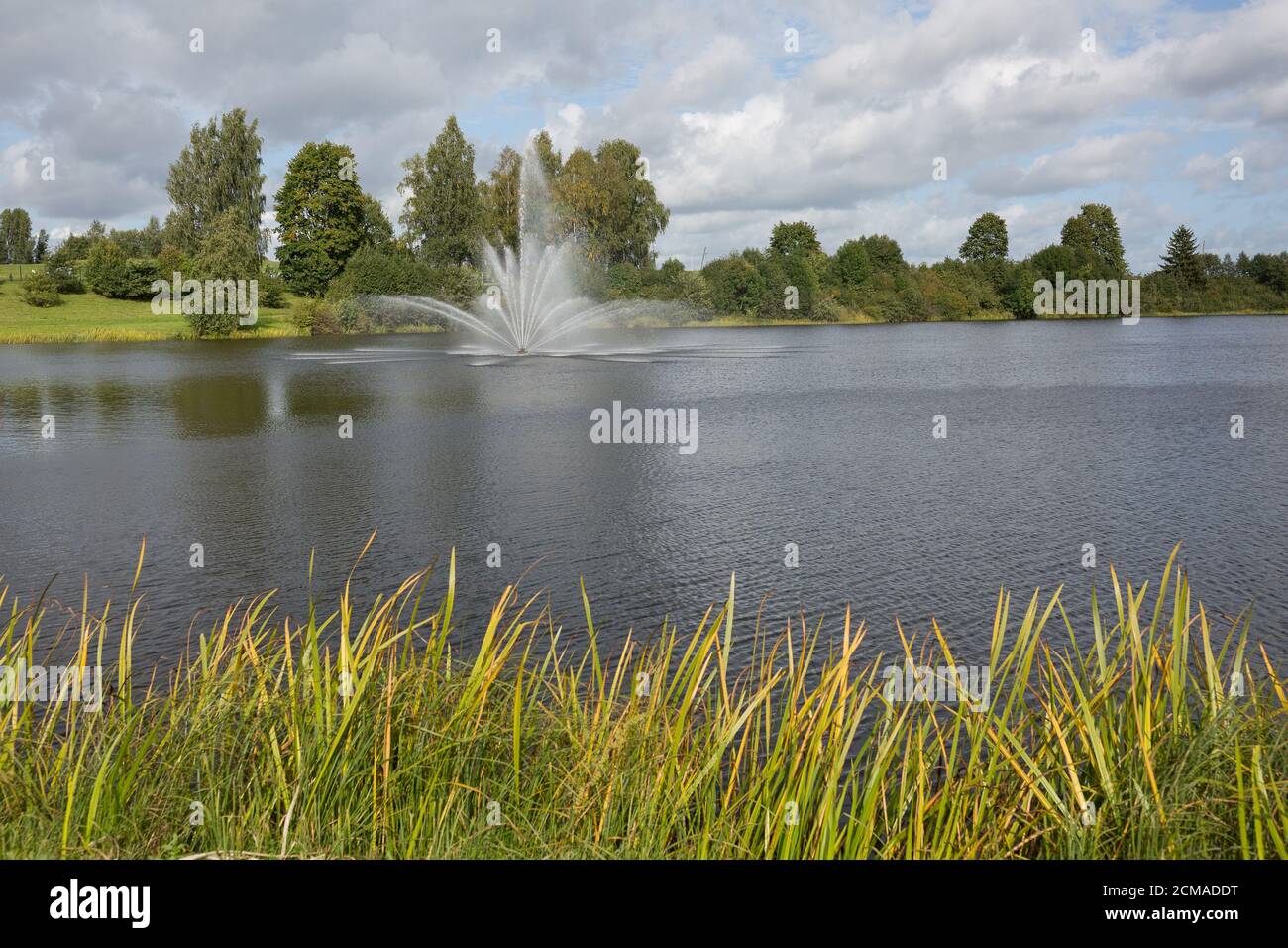 City Smiltene, Latvia.Fountain in the lake and around tree.13.09.2020 ...