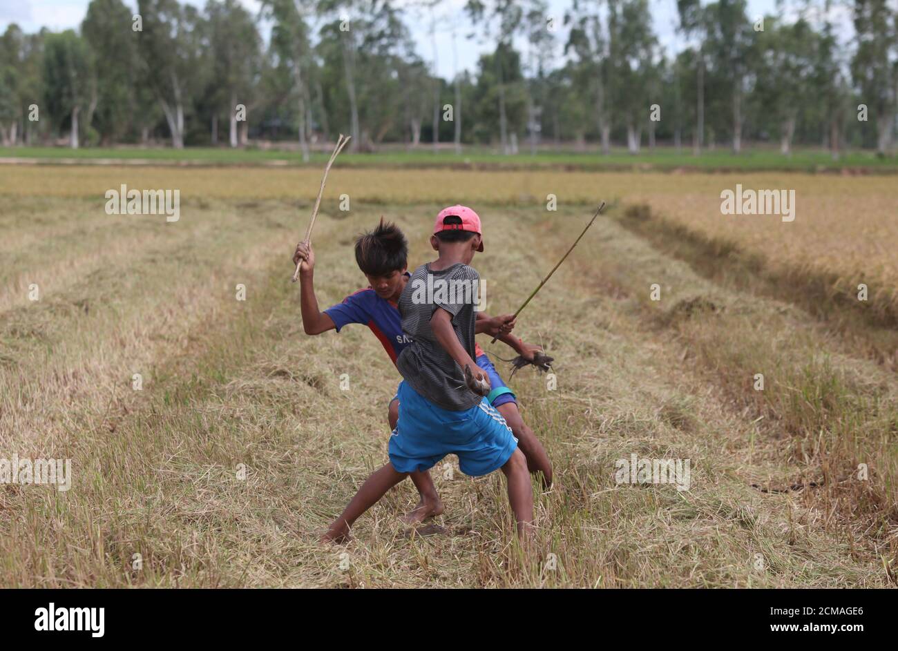 Cambodia rice field children hi-res stock photography and images - Alamy