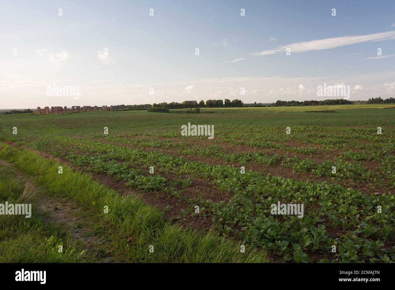 Medieval building of stonehenge hi-res stock photography and images - Alamy