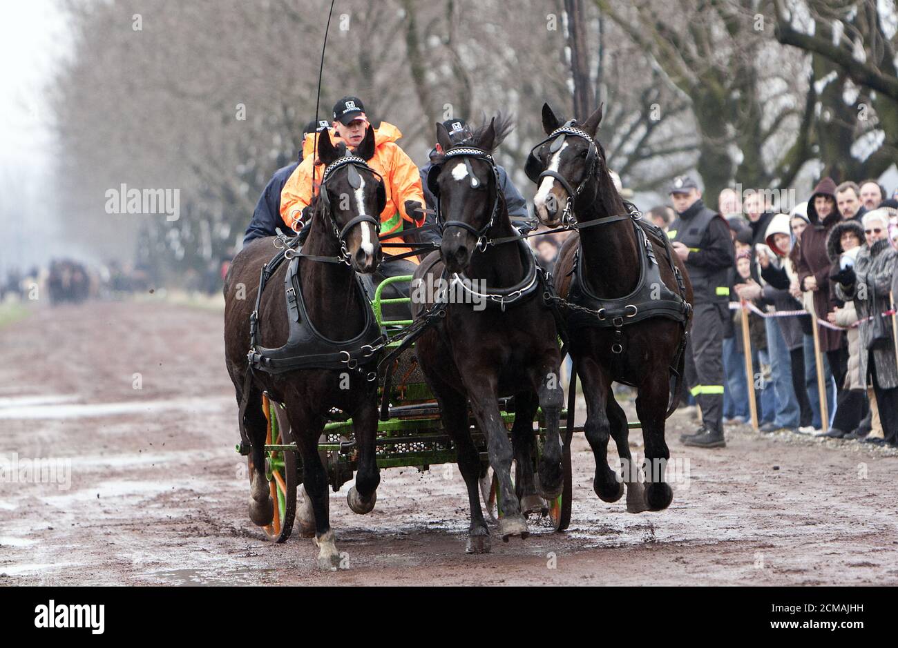 Traditional horseback riding Stock Photo - Alamy