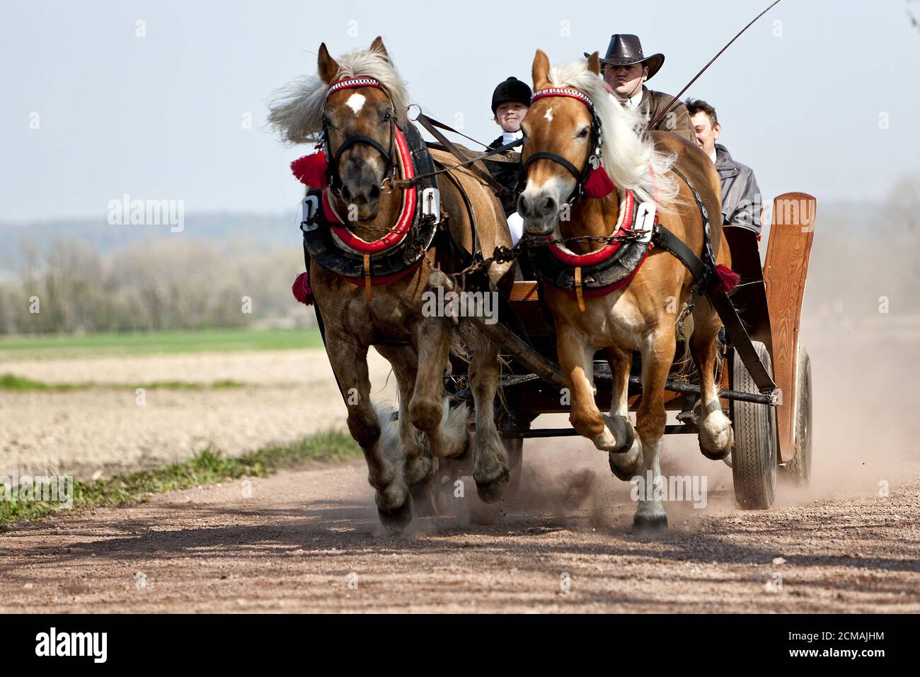 Traditional horseback riding Stock Photo - Alamy