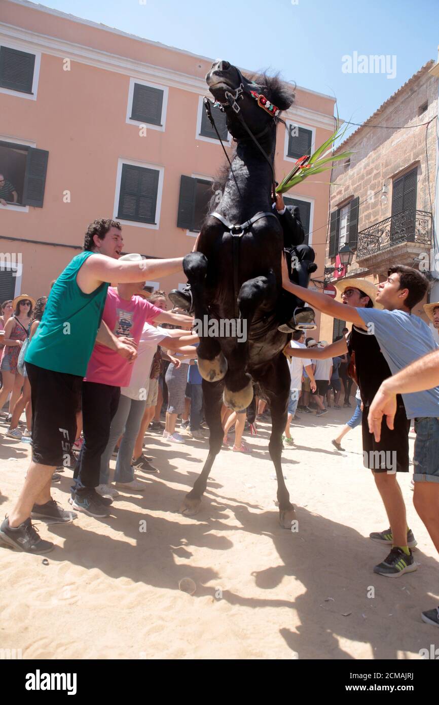 Animal Crowd Cheering High Resolution Stock Photography and Images - Alamy