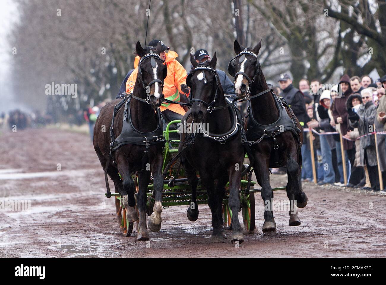 Traditional horseback riding Stock Photo - Alamy