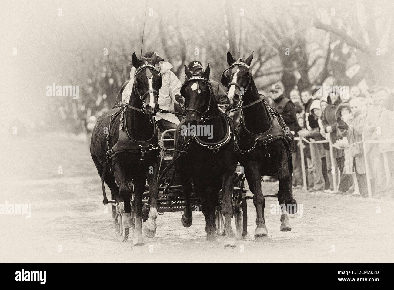 Horse Ridin High Resolution Stock Photography and Images - Alamy