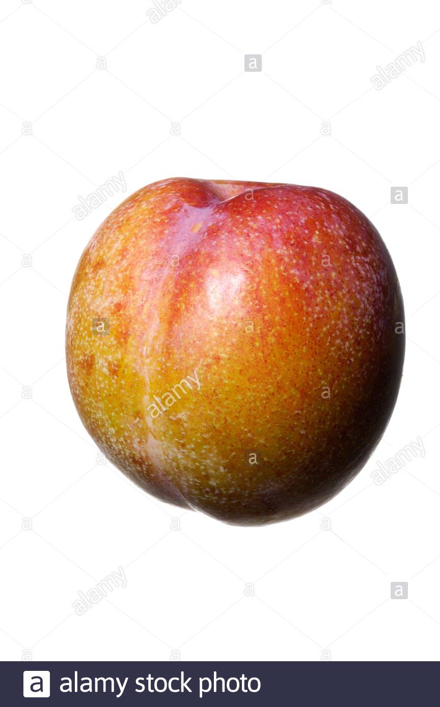 Ozar High Resolution Stock Photography and Images - Alamy