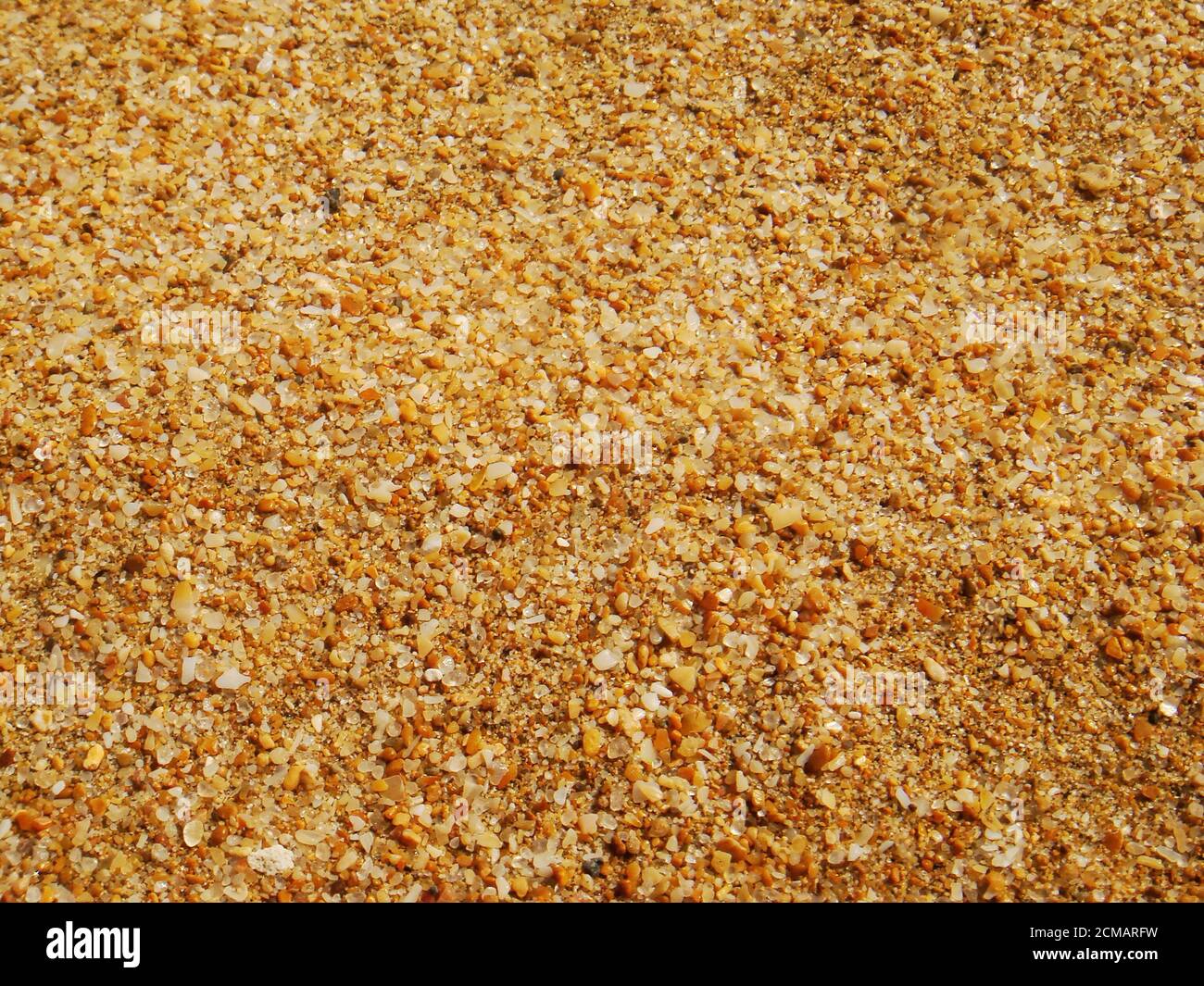 Abstract background with golden sand showing a coarse texture and ...