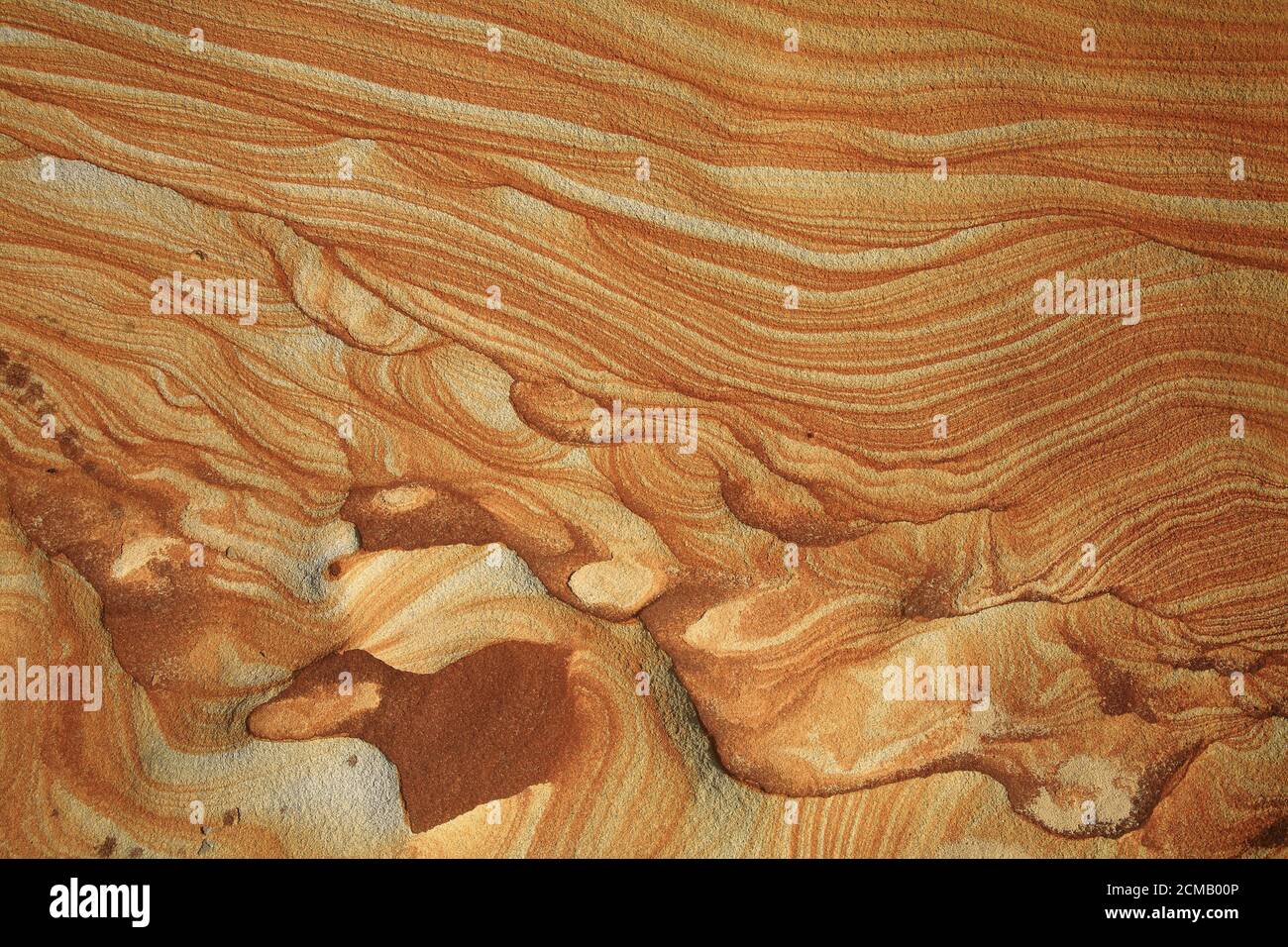 New Taipei Taipei Wanli Turtle Roar Coastal Rock Texture Taiwan Stock ...