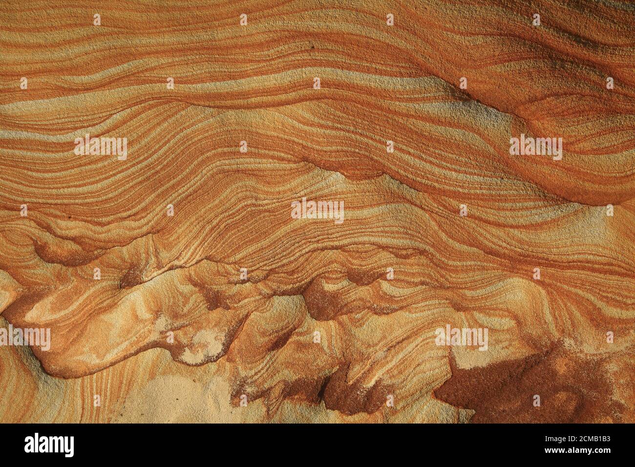 Turtle roar hi-res stock photography and images - Alamy