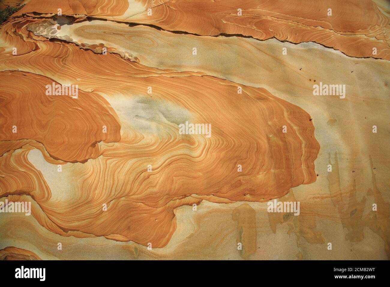 New Taipei Taipei Wanli Turtle Roar Coastal Rock Texture Taiwan Stock ...