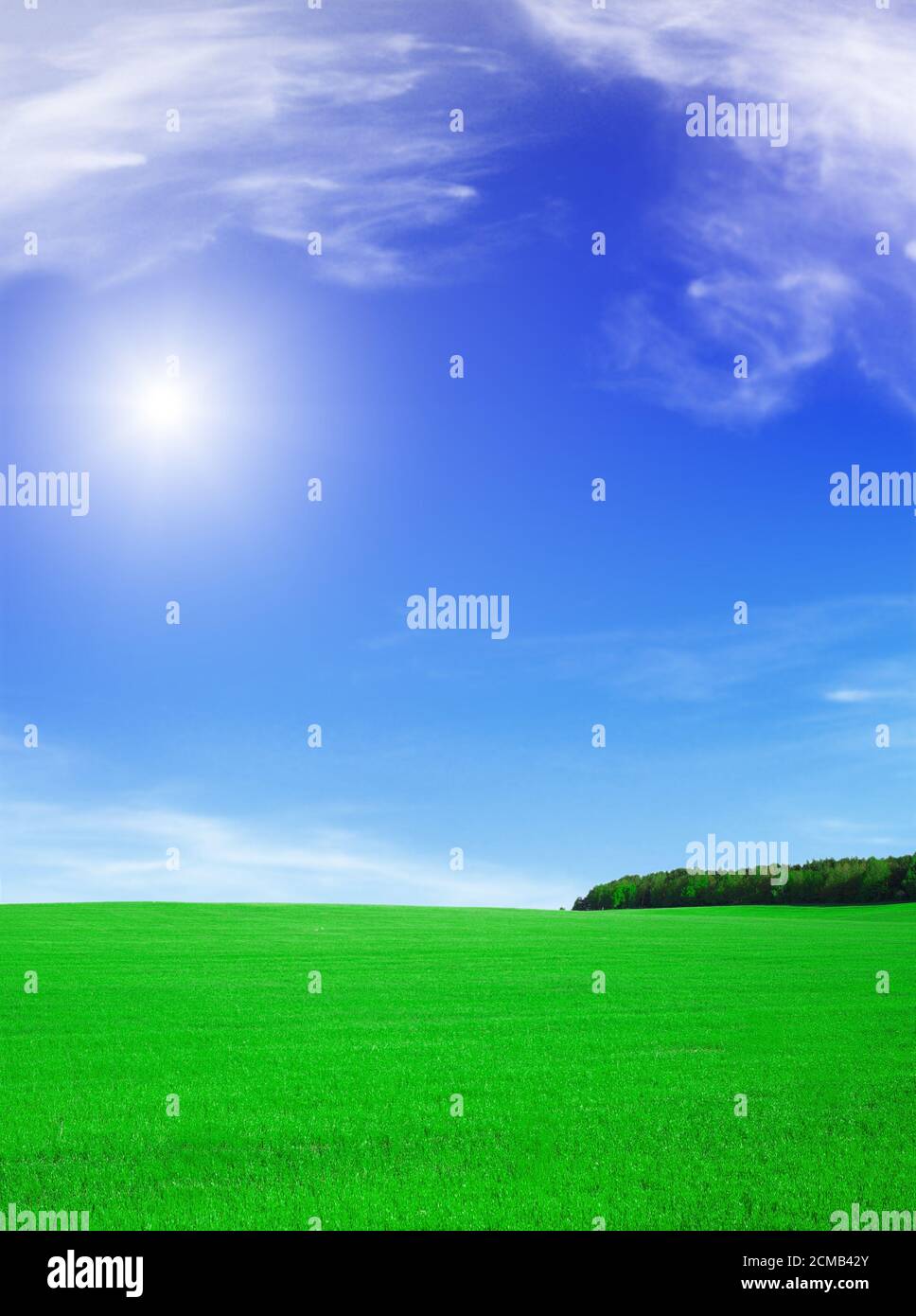 Summer landscape - blue sky with sun and green field Stock Photo - Alamy