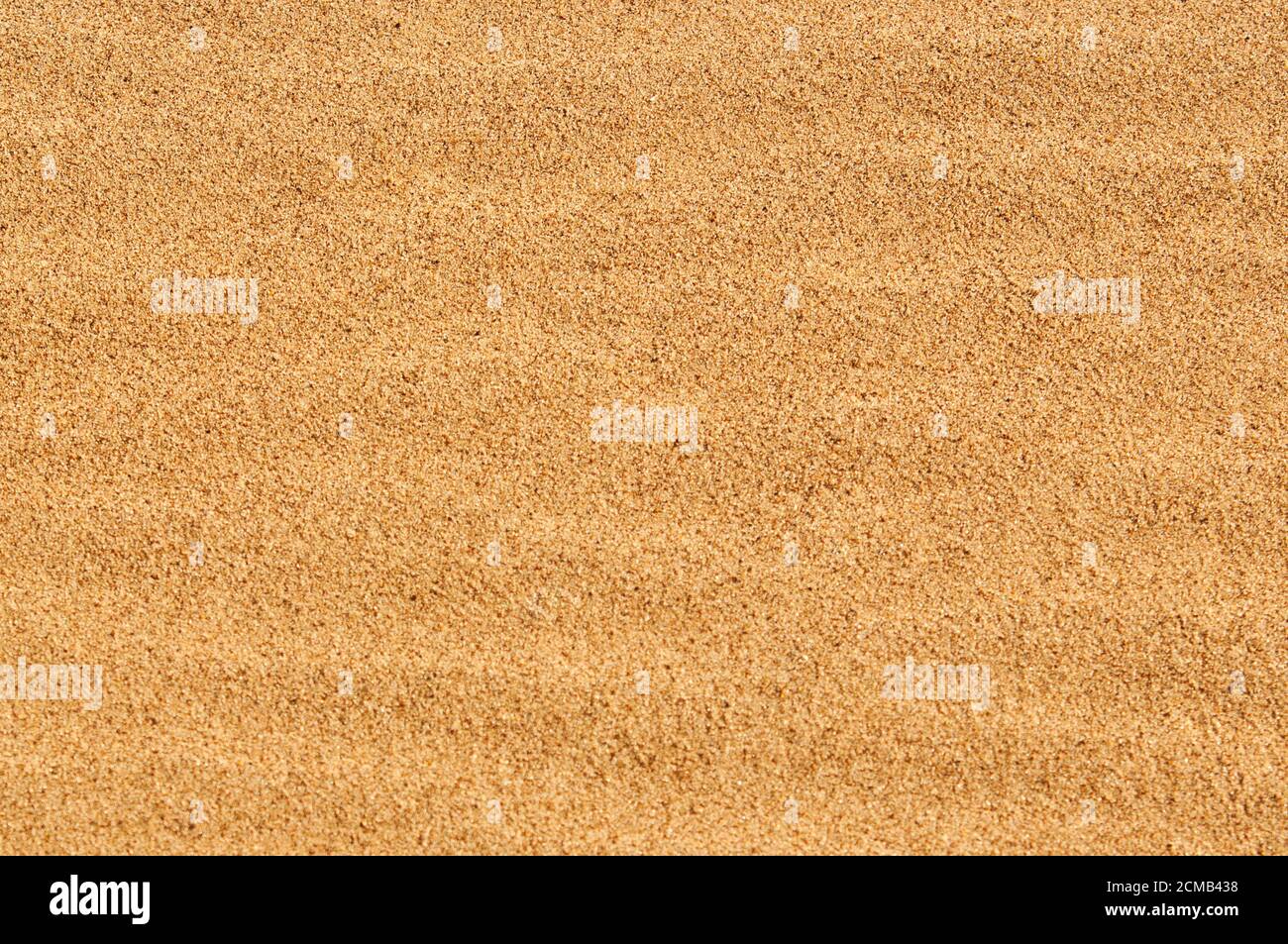 Wet weather photography hi-res stock photography and images - Alamy