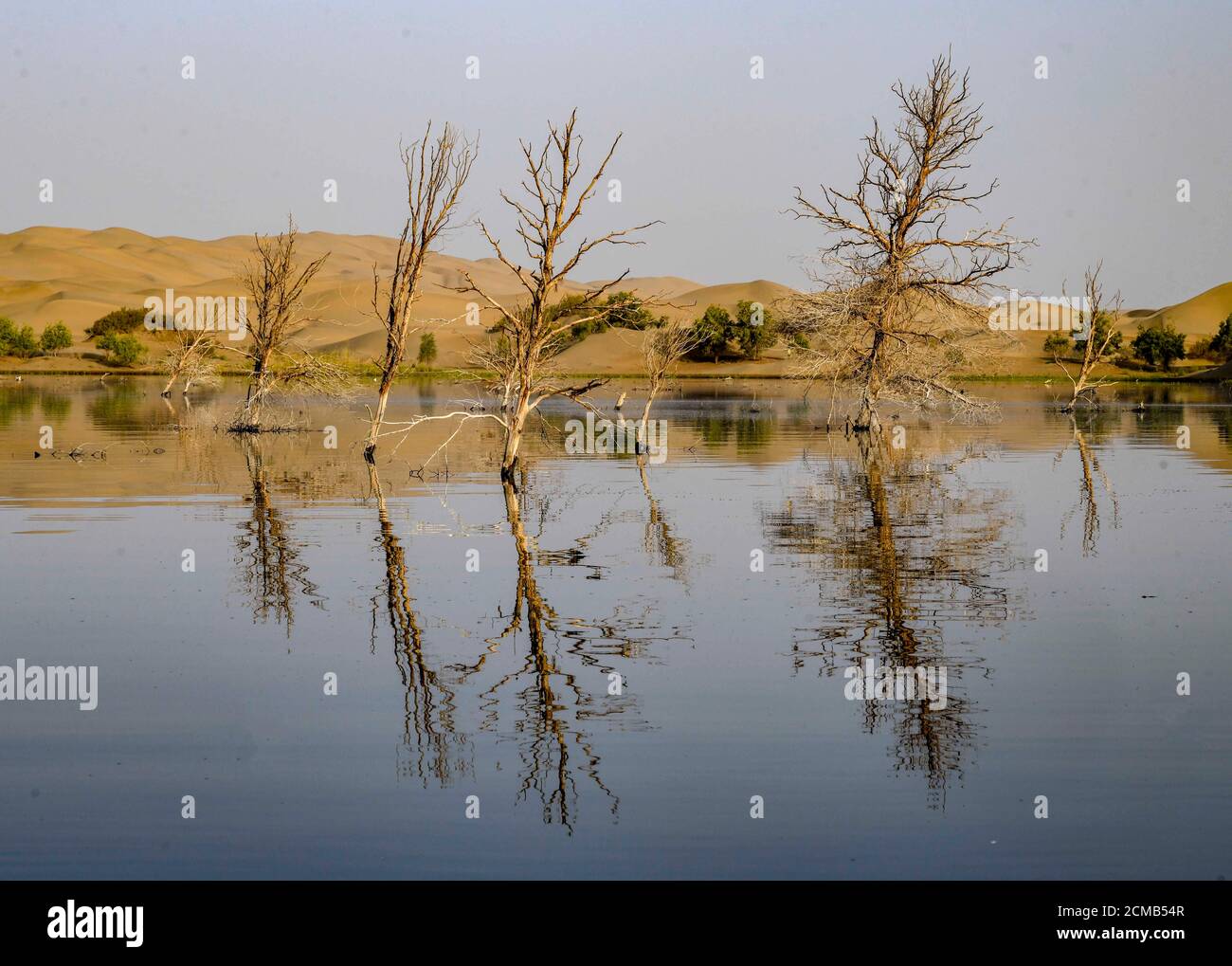 Yuli, China's Xinjiang Uygur Autonomous Region. 15th Sep, 2020. Photo ...