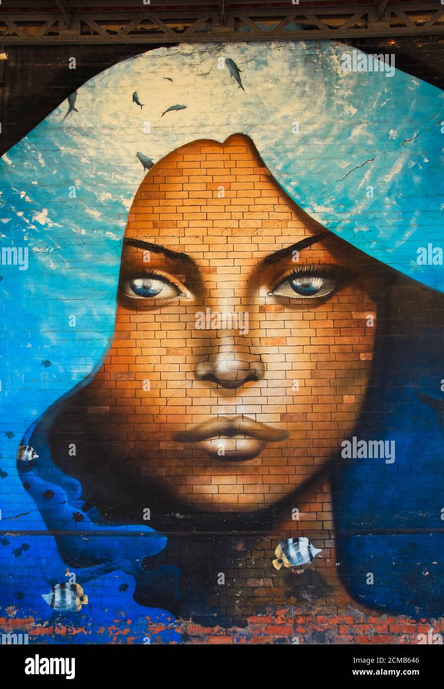 View of AquaRio Gamboa in Brazil Stock Photo - Alamy