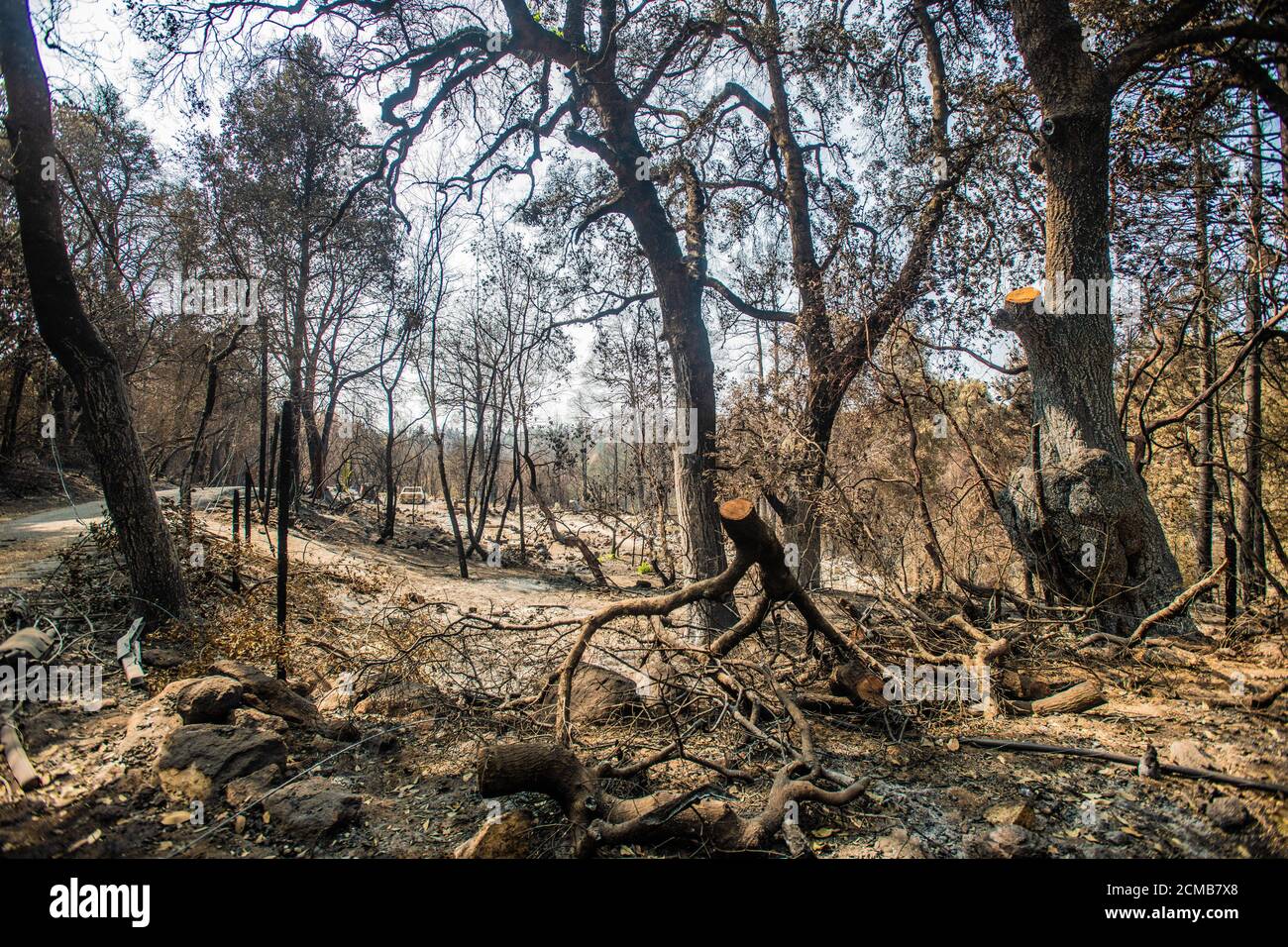 BONNY DOON, CALIFORNIA - SEPTEMBER 16: A general view of destroyed ...