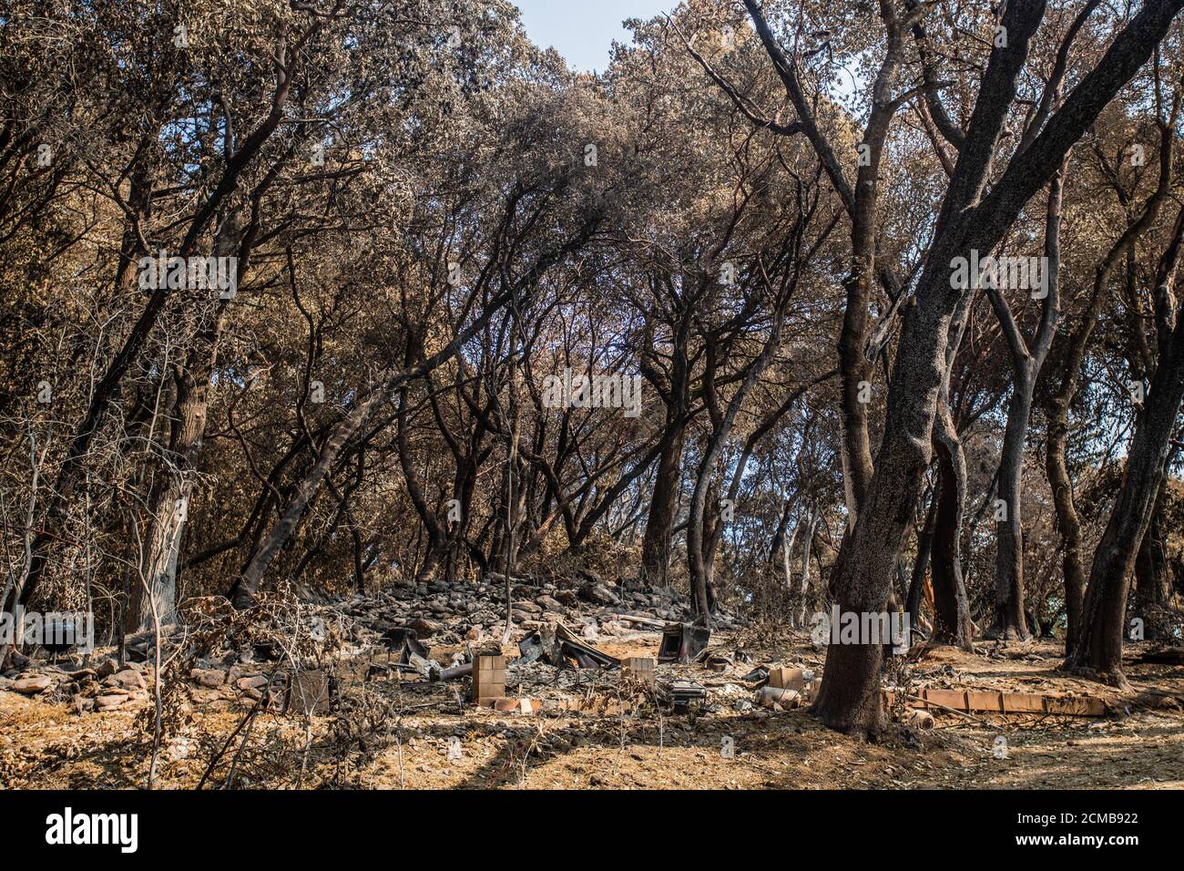 BONNY DOON, CALIFORNIA - SEPTEMBER 16: A general view of destroyed ...
