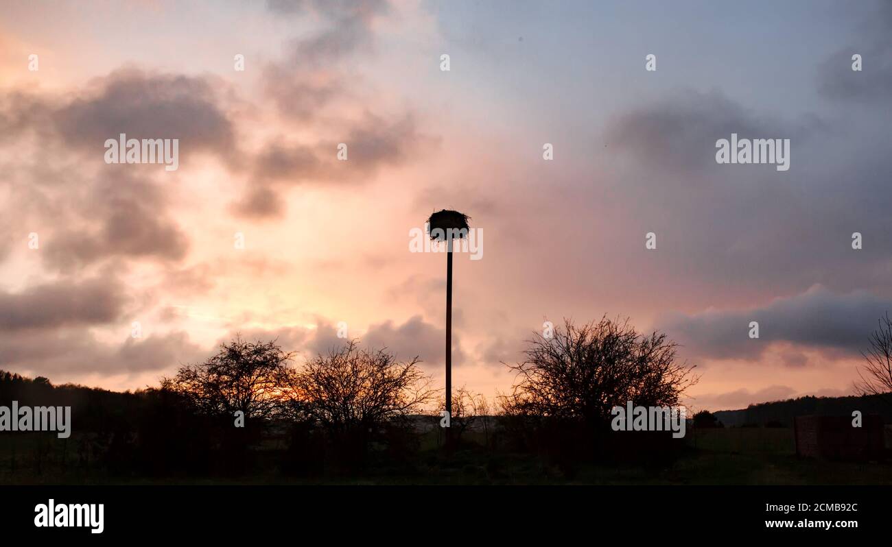 Stork nest on high pillar on the beautiful sunset sky, national symbol ...