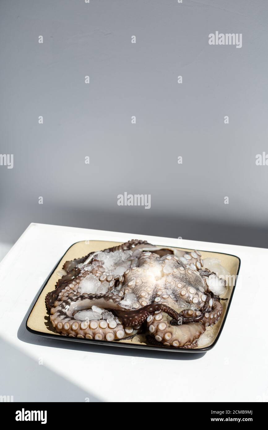 Seafood, whole raw big octopus on a plate in ice ready for preparing ...