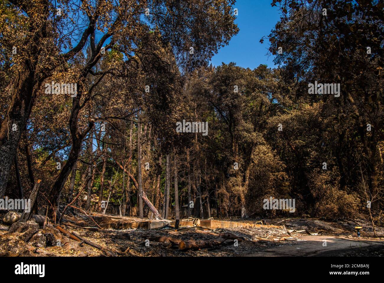 Bonny Doon, California, USA. 16th Sep, 2020. A general view of property ...