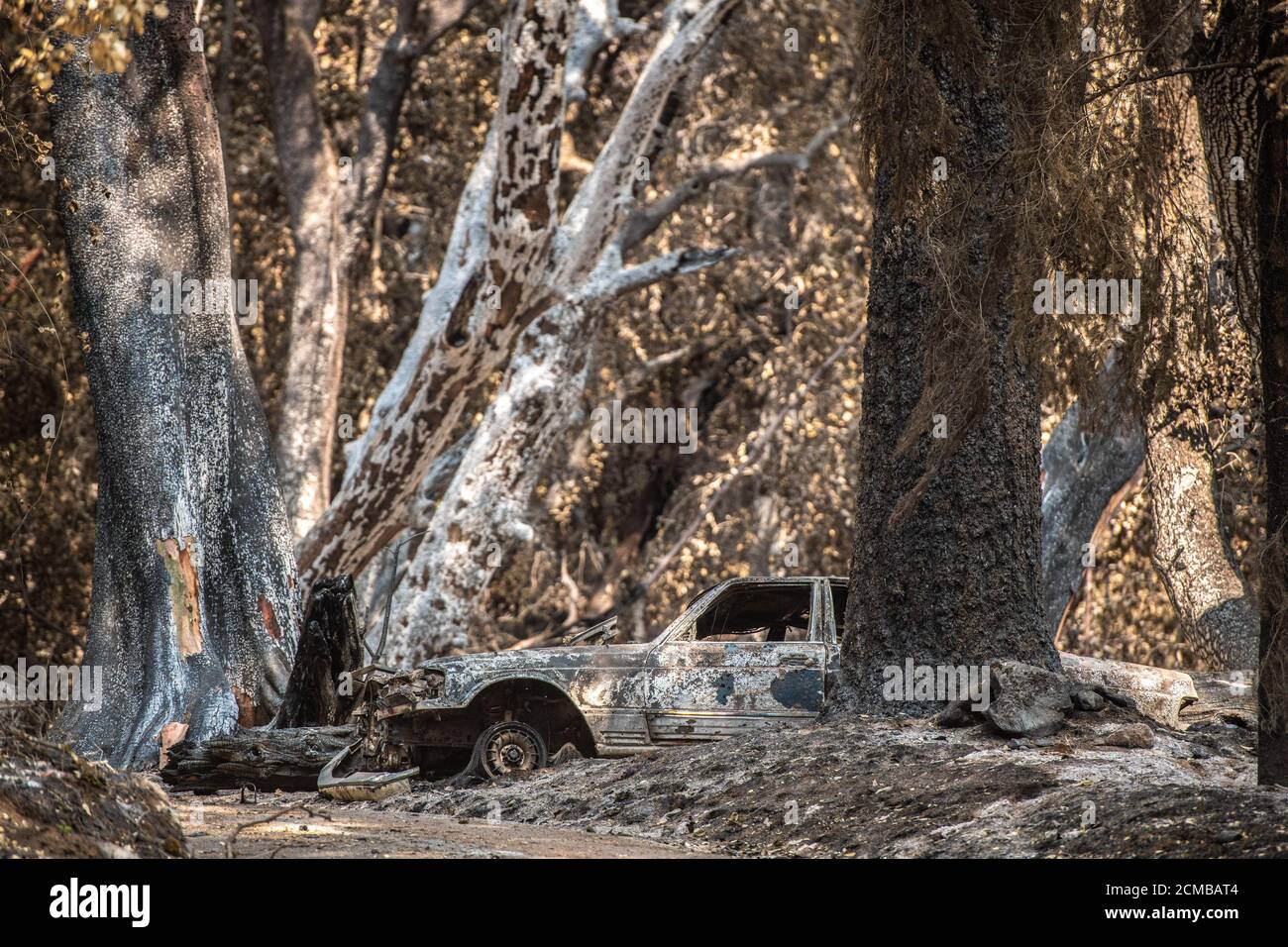 Bonny Doon, California, USA. 16th Sep, 2020. A general view of a burned ...