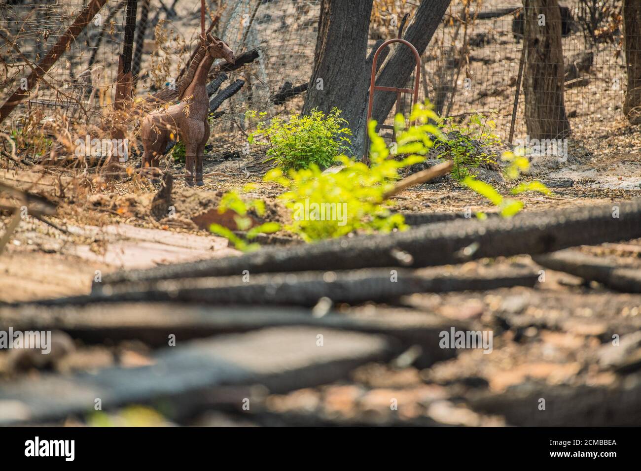 Bonny Doon, California, USA. 16th Sep, 2020. A general view of ...