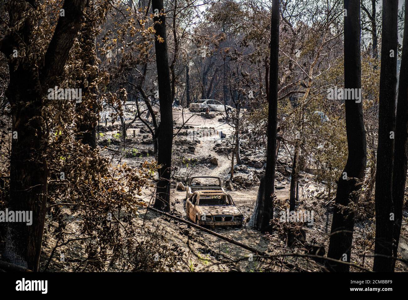 Bonny Doon, United States. 16th Sep, 2020. BONNY DOON, CALIFORNIA ...