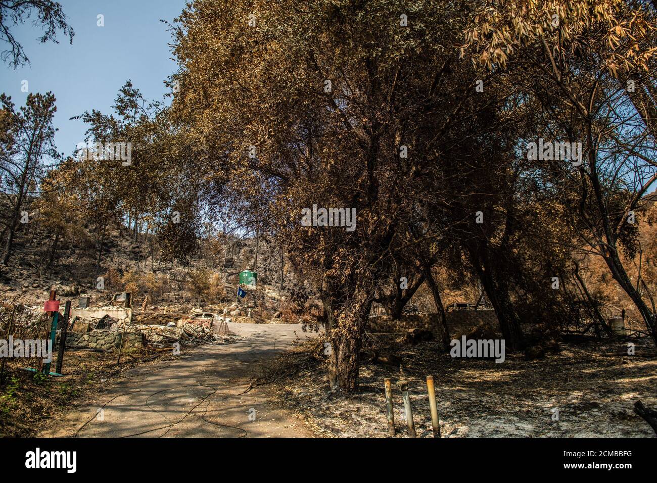 Bonny Doon, United States. 16th Sep, 2020. BONNY DOON, CALIFORNIA ...